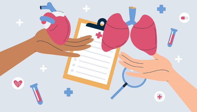 Donazione di organi, tessuti e cellule: esprimere la propria volontà ...